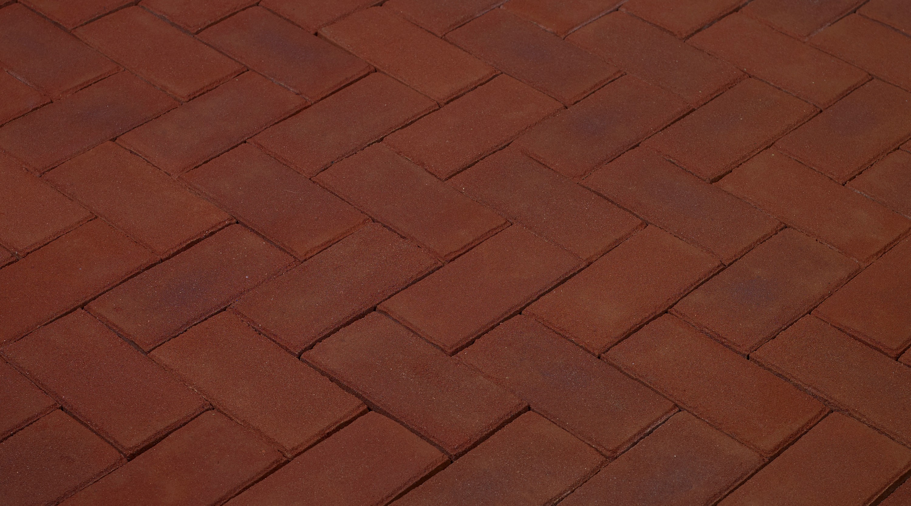 Paviona Vormbak KK80