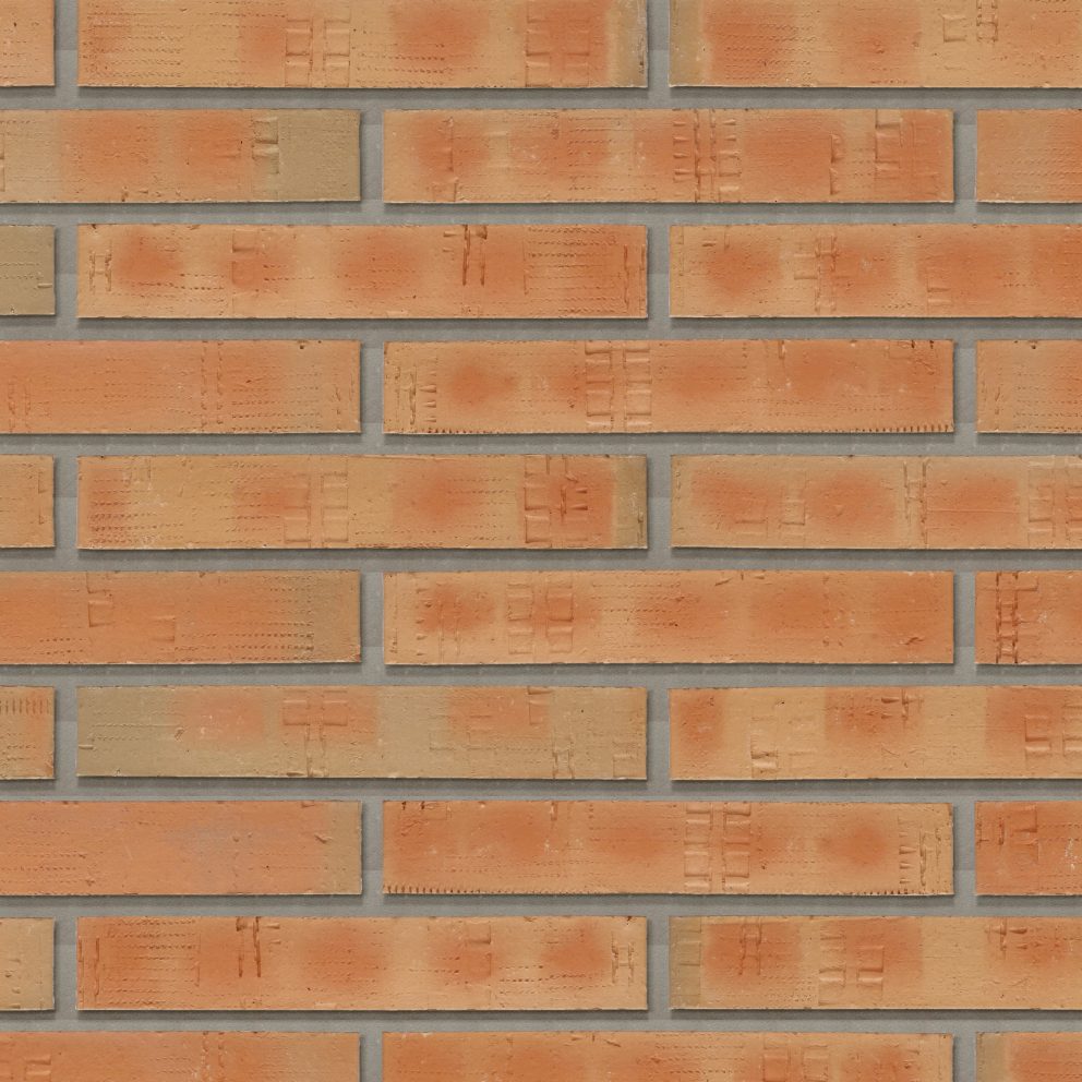 Elignia Audo Oranje SP LF288