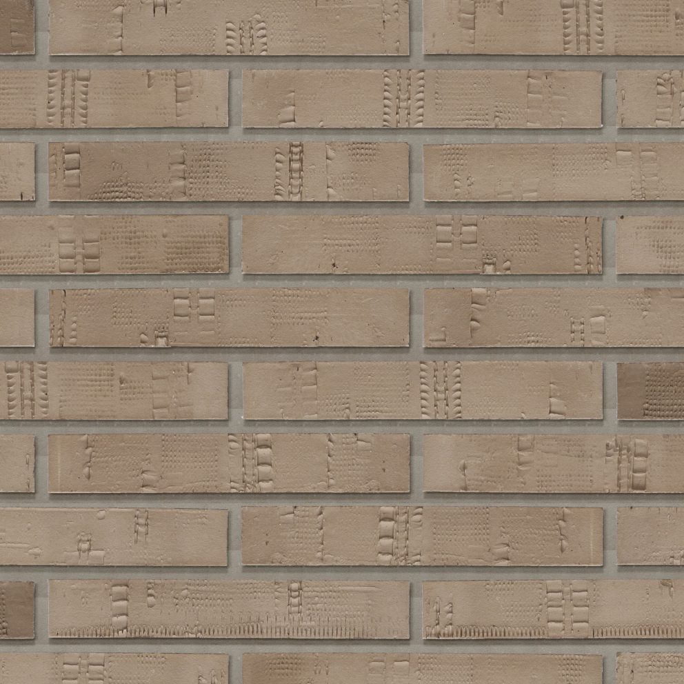 Elignia Torna Grijs SP LF288